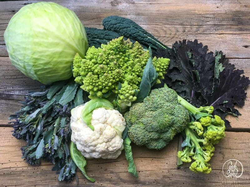 Kohl Saison Einkauf Lagerung Zubereitung Cooknsoul de Kohl Saison Einkauf Lagerung Zubereitung Cooknsoul de
